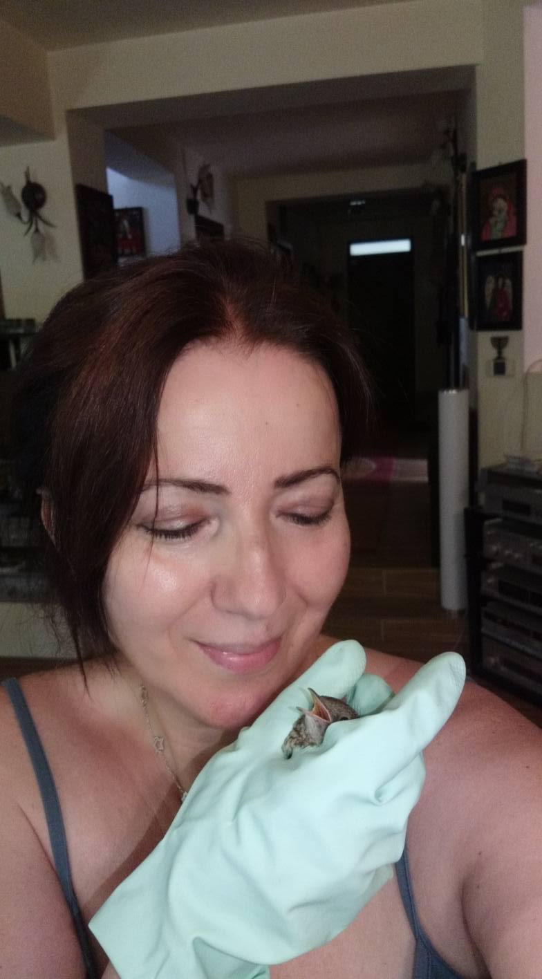 Marcel, puiul de măcăleandru - Dana Fodor Mateescu