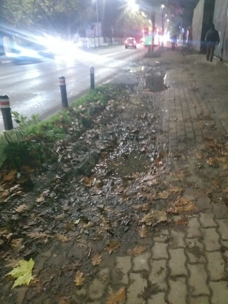 Pipera, „cartier de lux”. Trotuar de groază: pietonii, obligați să ...